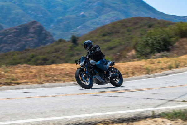 Livewire - Accessories – JC 310 Designs